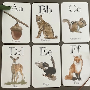 Printable Alphabet Flashcards/nature Flashcards/forest Theme/forest ...