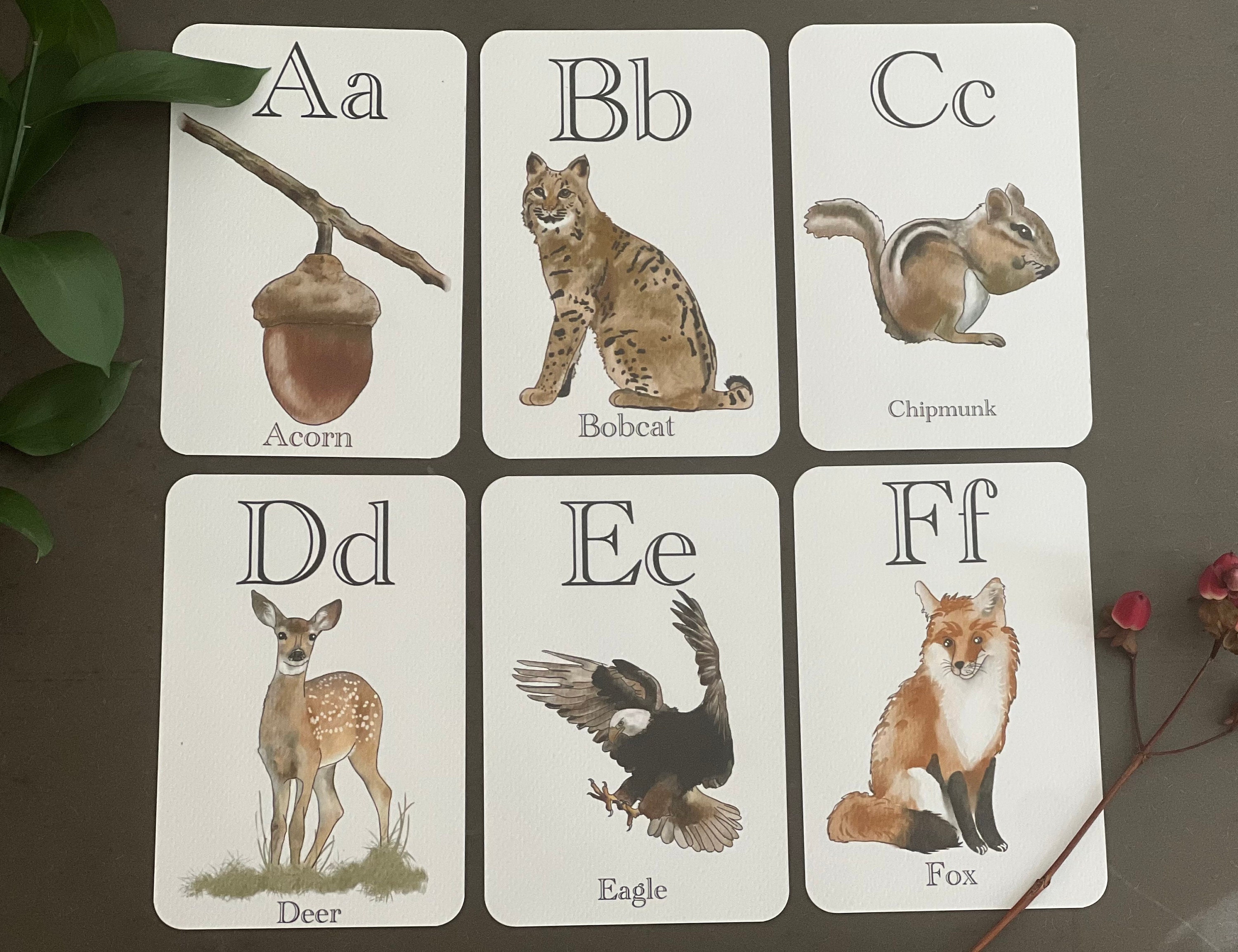 Printable Alphabet Flashcards/nature Flashcards/forest Theme/forest ...