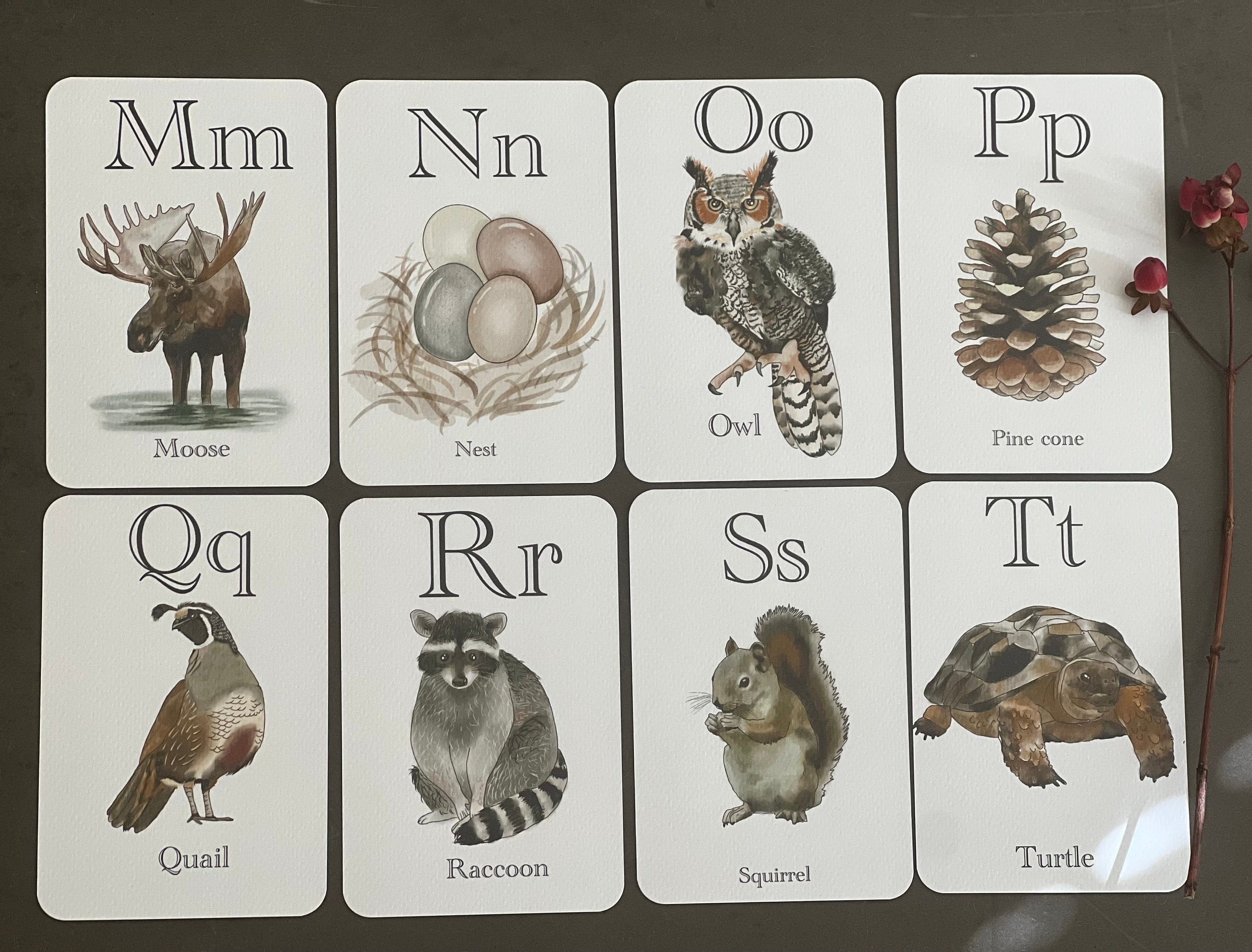 Printable Alphabet Flashcards/nature Flashcards/forest Theme/forest ...