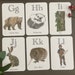 Printable Alphabet Flashcards/nature Flashcards/forest Theme/forest ...