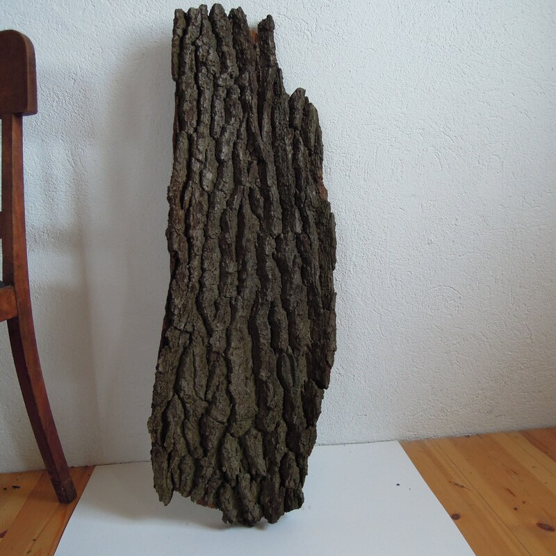 Tree Bark Mask - Etsy