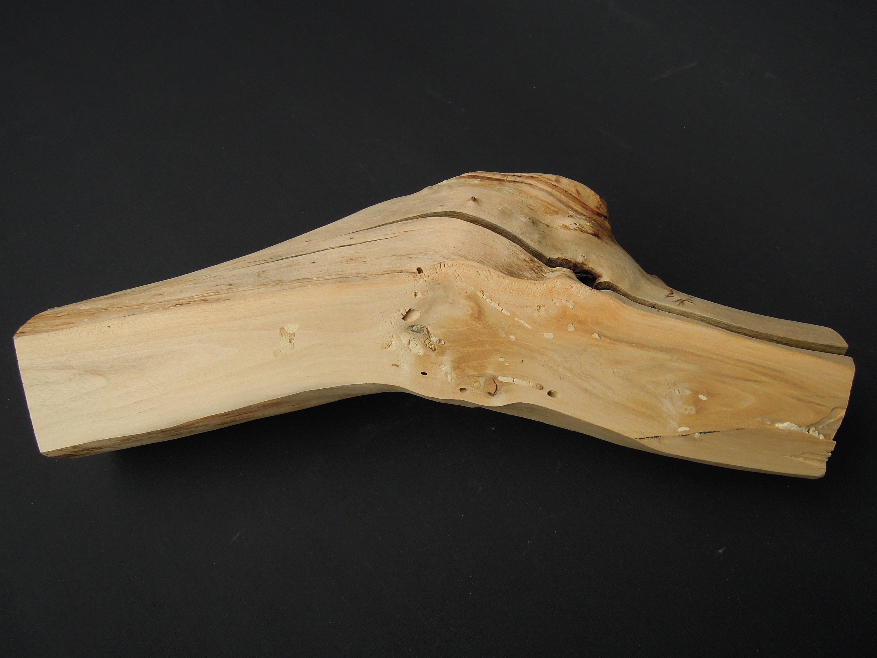 Rodent House Rodent Tube Rodent Tunnel Natural Wood Mouse House Mouse ...