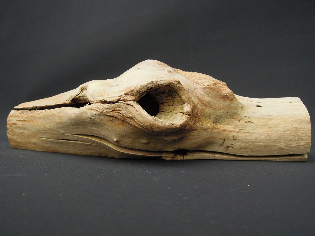 Rodent House Rodent Tube Rodent Tunnel Natural Wood Mouse House Mouse ...