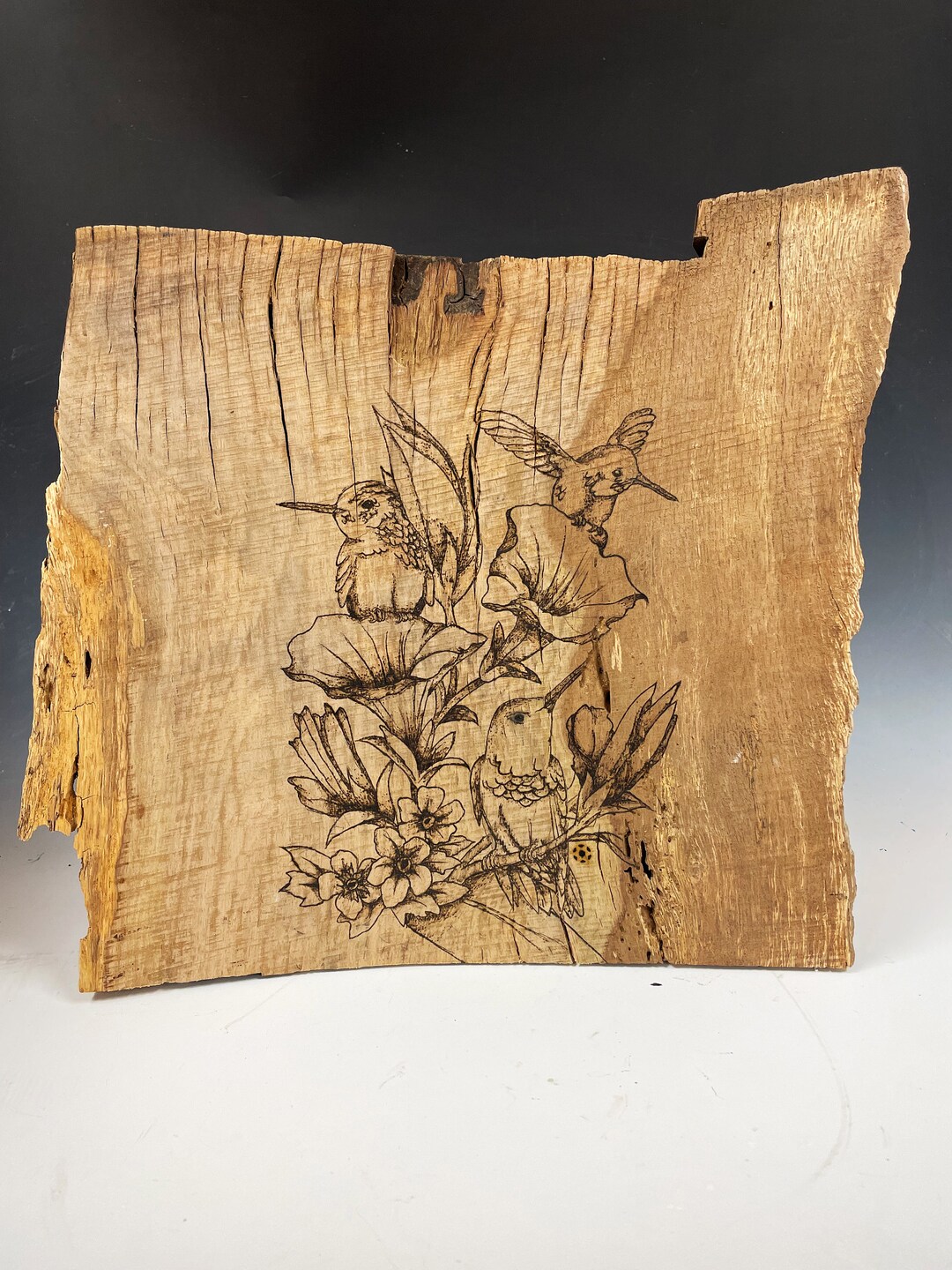 Live Edge Trim Wood Burn Art Hummingbirds and Flowers - Etsy