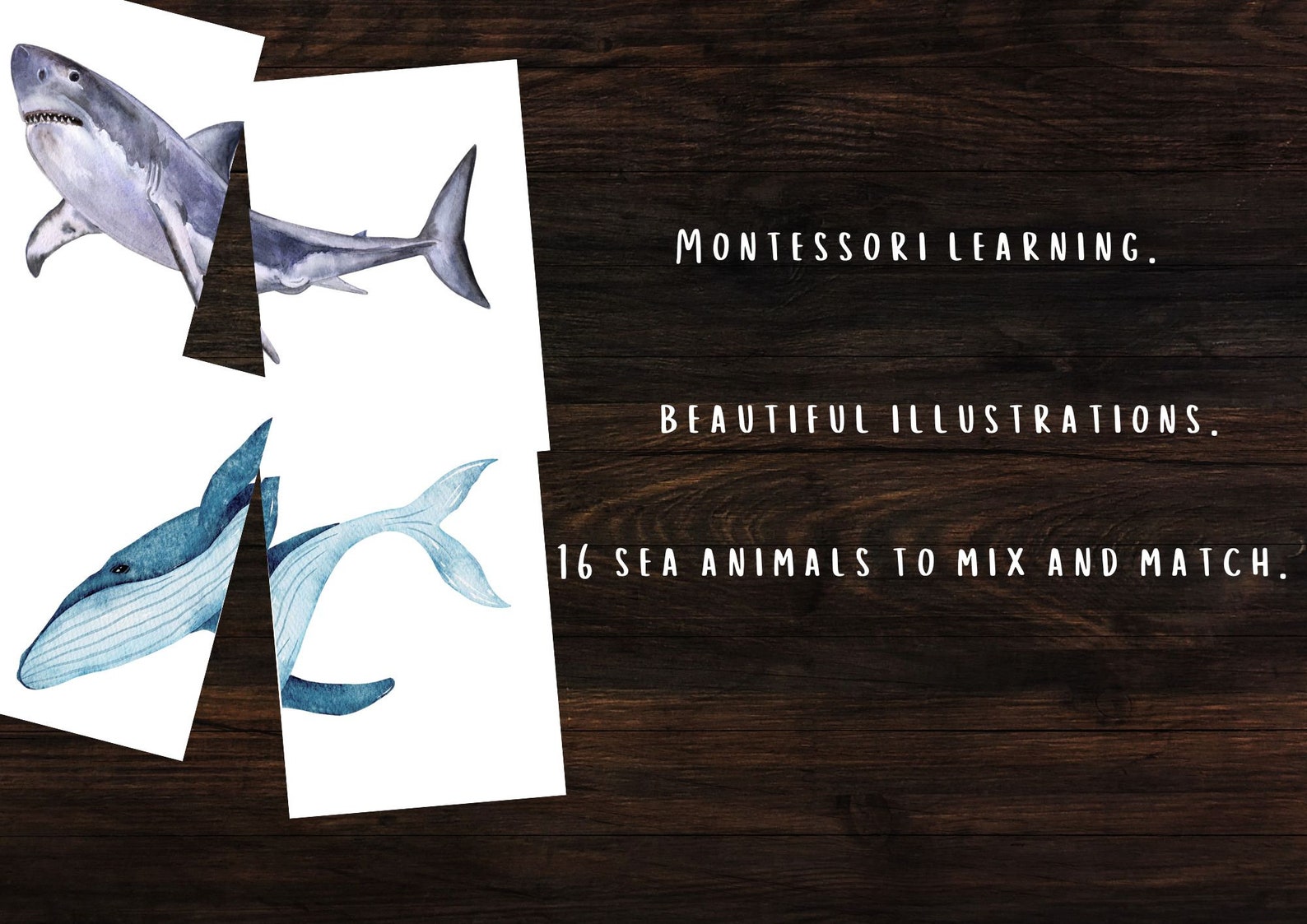 Sea Animal Matching Game | Toddler Memory Game | Printable Ocean ...