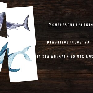 Sea Animal Matching Game | Toddler Memory Game | Printable Ocean ...