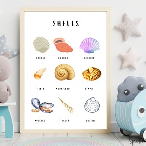 Seashells Montessori Poster, Summer Educational Poster, Beach Printable ...