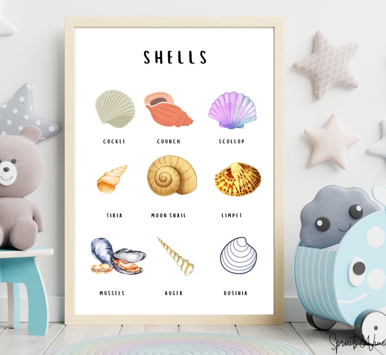 Seashells Montessori Poster, Summer Educational Poster, Beach Printable ...