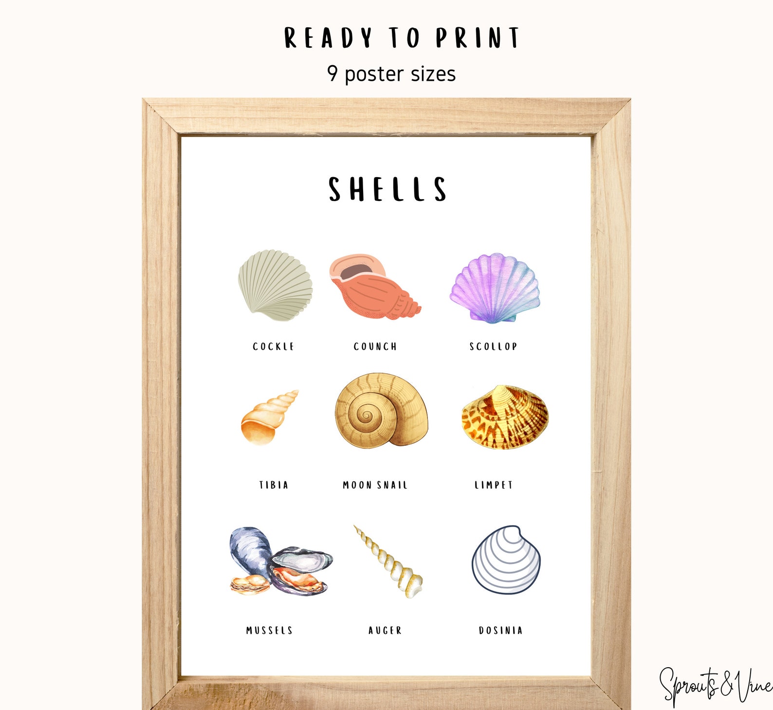 Seashells Montessori Poster, Summer Educational Poster, Beach Printable ...