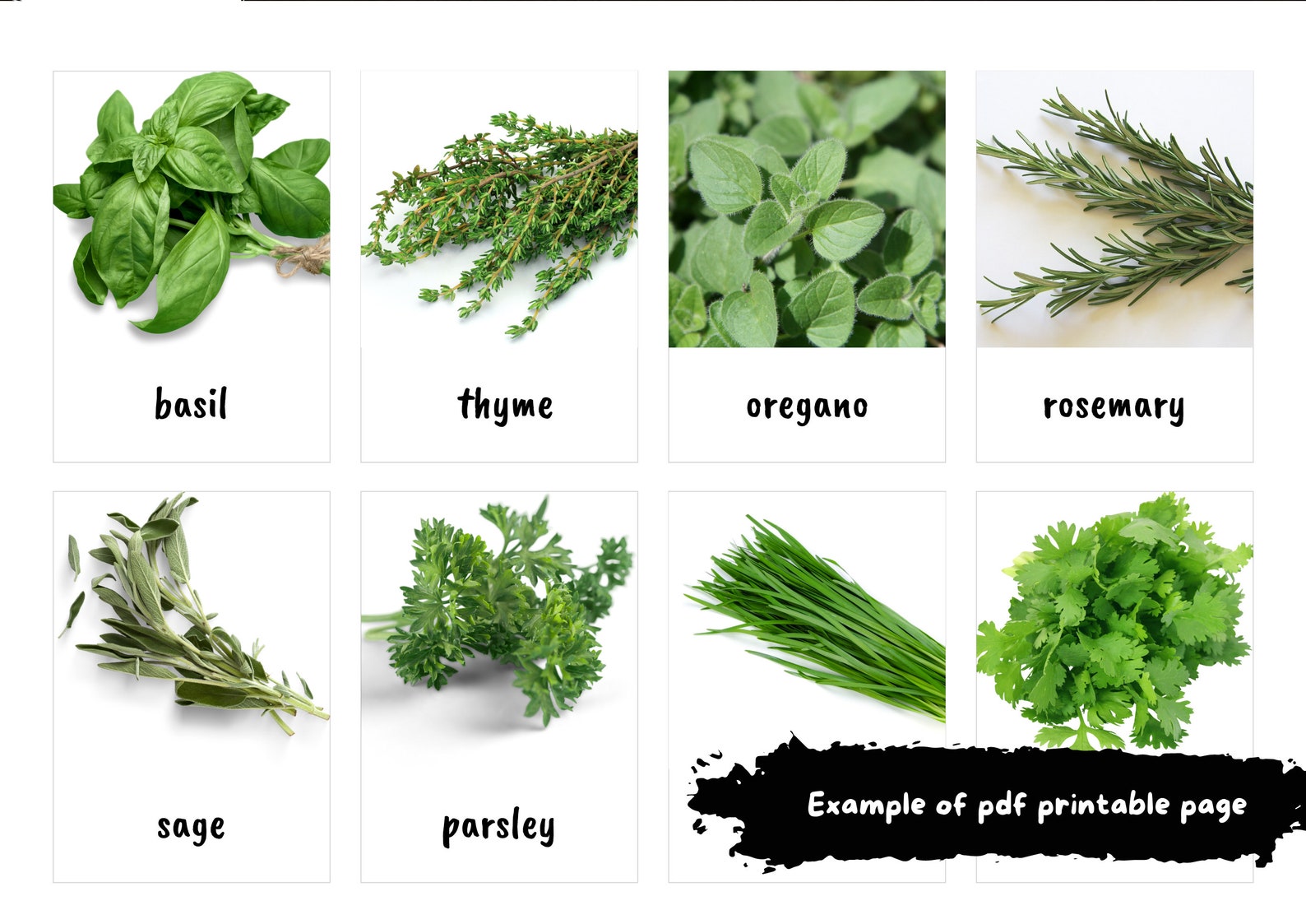 Herbs Flashcards, Printable Montessori Materials, Preschool Toddler ...