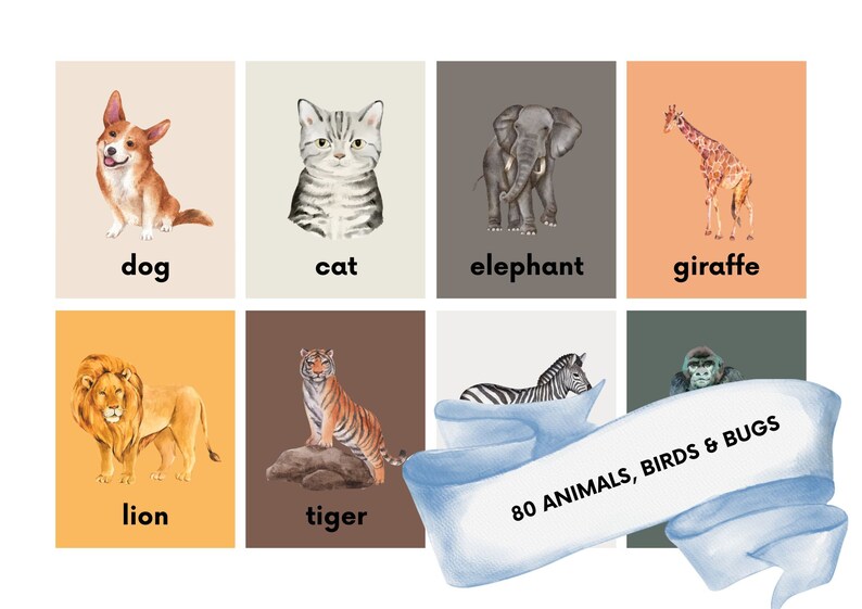 Animal Flashcards 80 Printable Animals Birds Bugs and Sea - Etsy