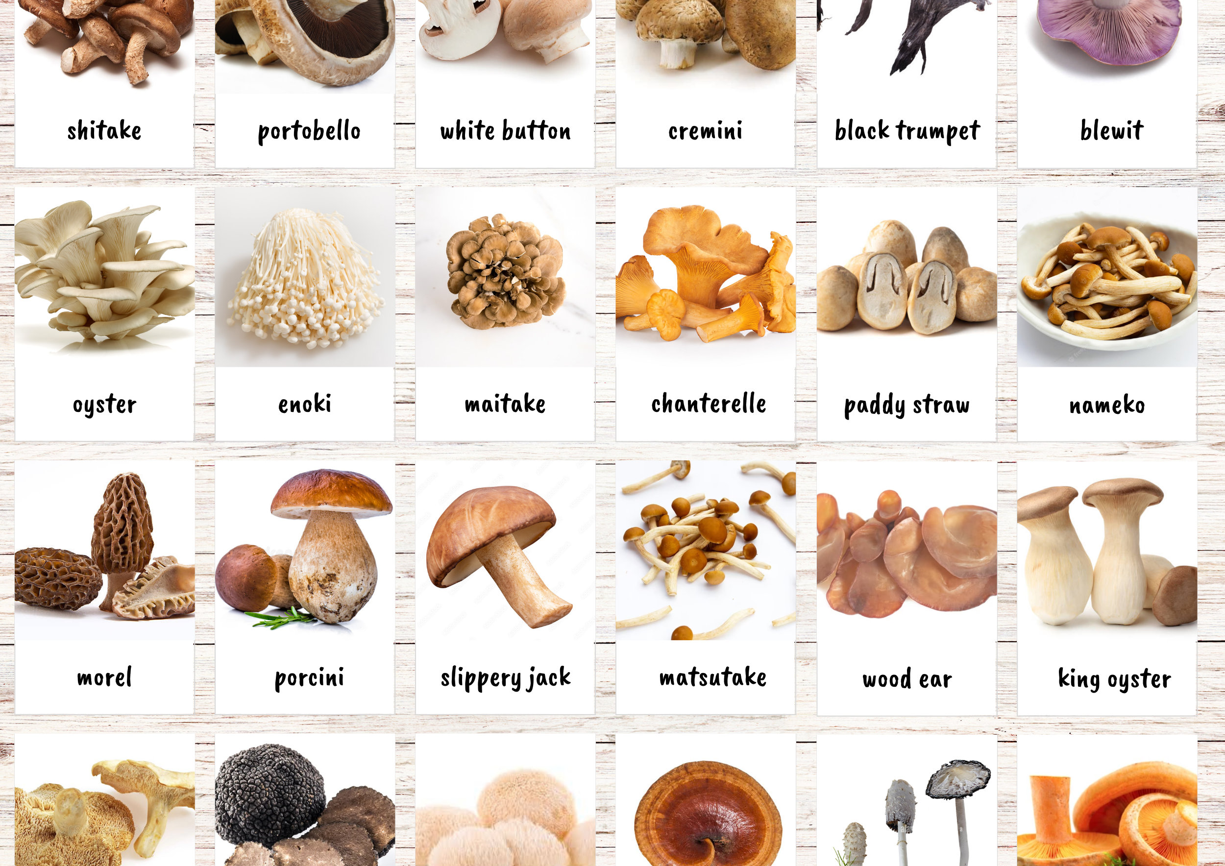 Edible Mushroom Montessori Flashcards, Montessori Materials Printable ...