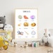 Seashells Montessori Poster, Summer Educational Poster, Beach Printable ...