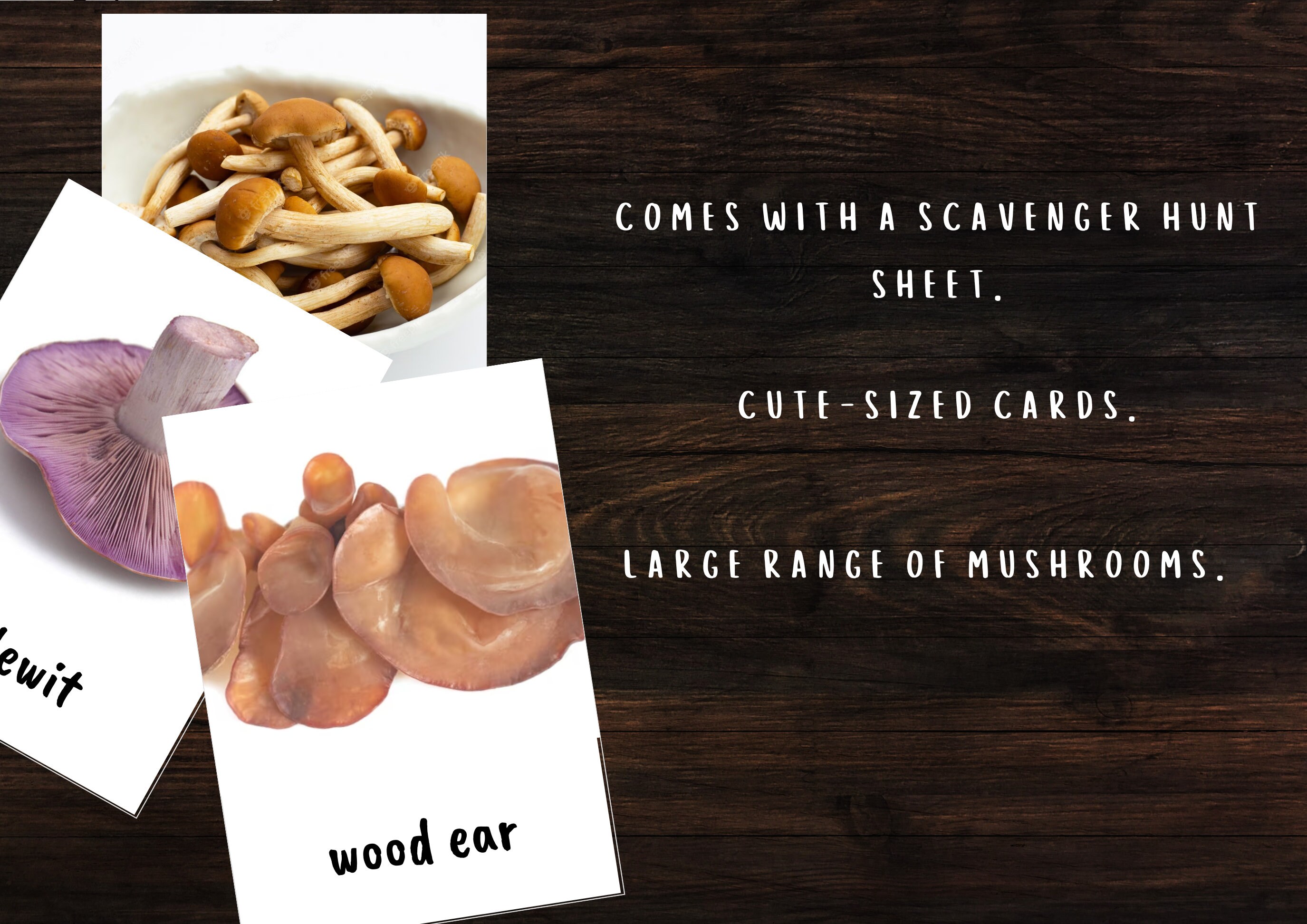 Edible Mushroom Montessori Flashcards, Montessori Materials Printable ...