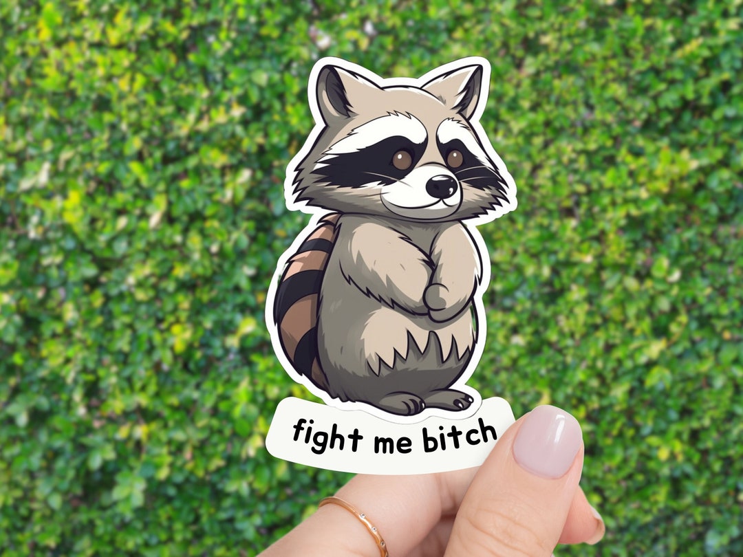 Cute Racoon Fight Me Sticker Kiss-cut Vinyl Decals - Etsy