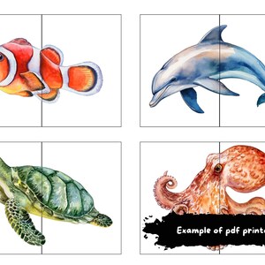 Sea Animal Matching Game | Toddler Memory Game | Printable Ocean ...