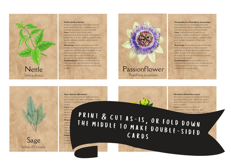 Medicinal Herb Flash Cards, Apothecary Reference (PDF Download) - Etsy