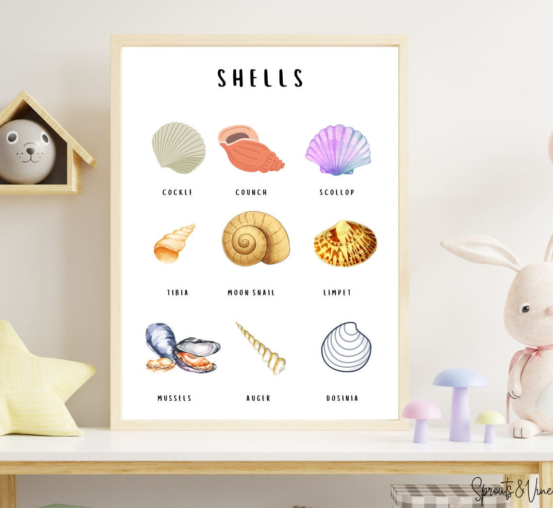 Seashells Montessori Poster, Summer Educational Poster, Beach Printable ...
