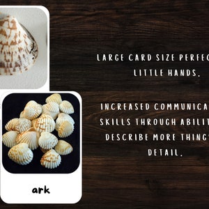 SEASHELLS Flash Cards | Montessori Inspired Printable Vocabulary Cards ...