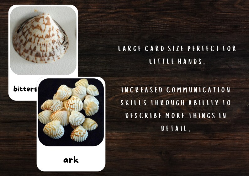 SEASHELLS Flash Cards | Montessori Inspired Printable Vocabulary Cards ...