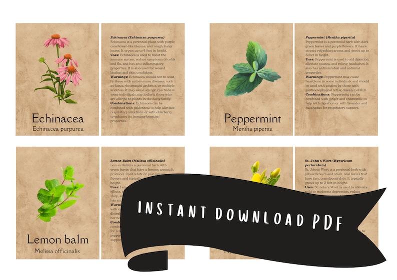 Medicinal Herb Flash Cards, Apothecary Reference (PDF Download) - Etsy