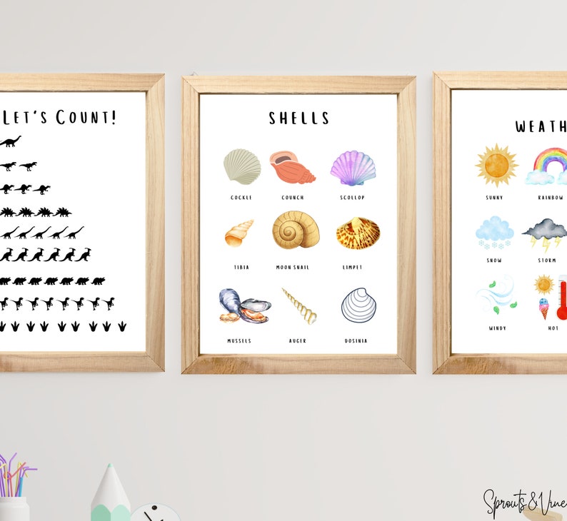Seashells Montessori Poster, Summer Educational Poster, Beach Printable ...
