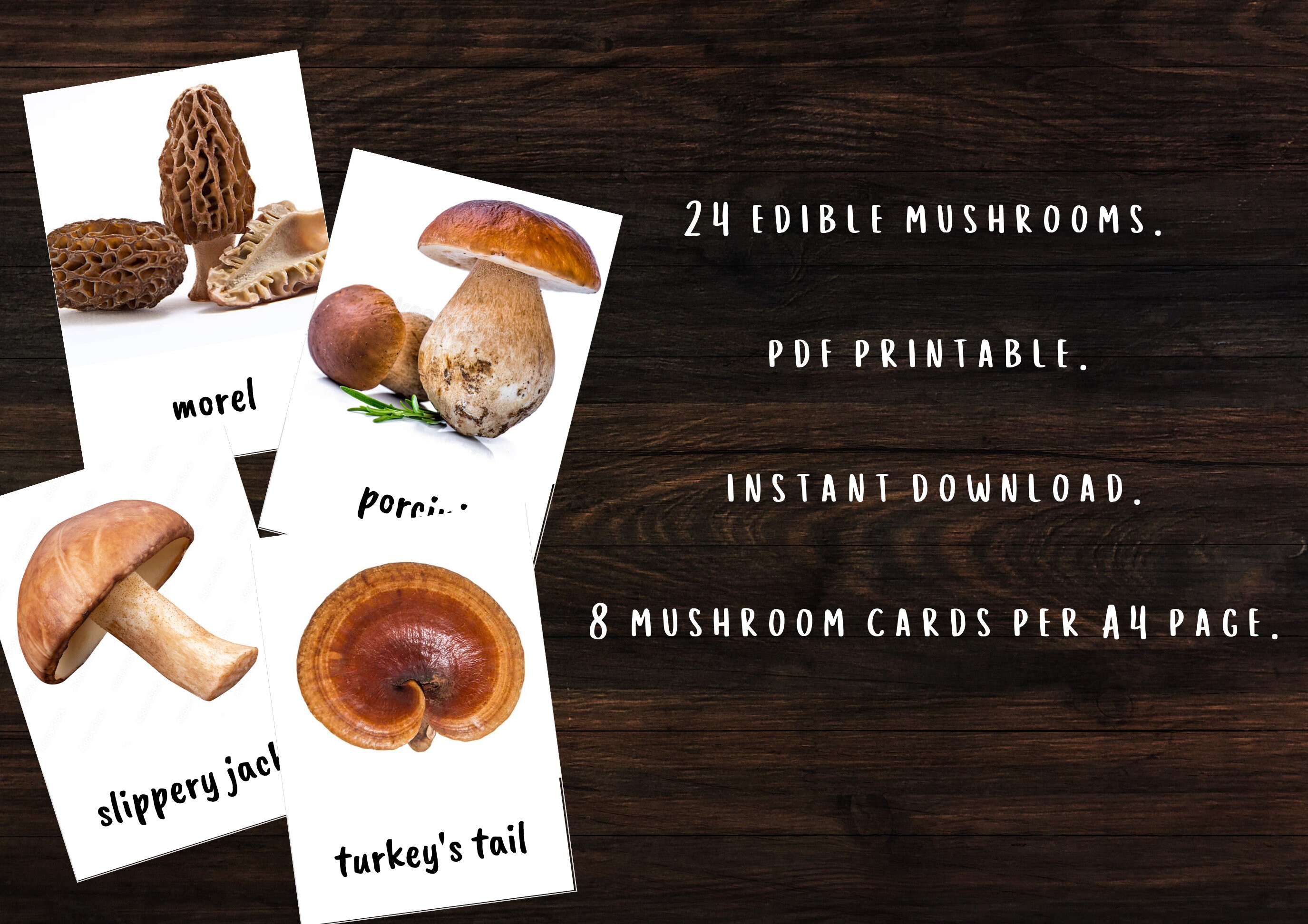 Edible Mushroom Montessori Flashcards, Montessori Materials Printable ...