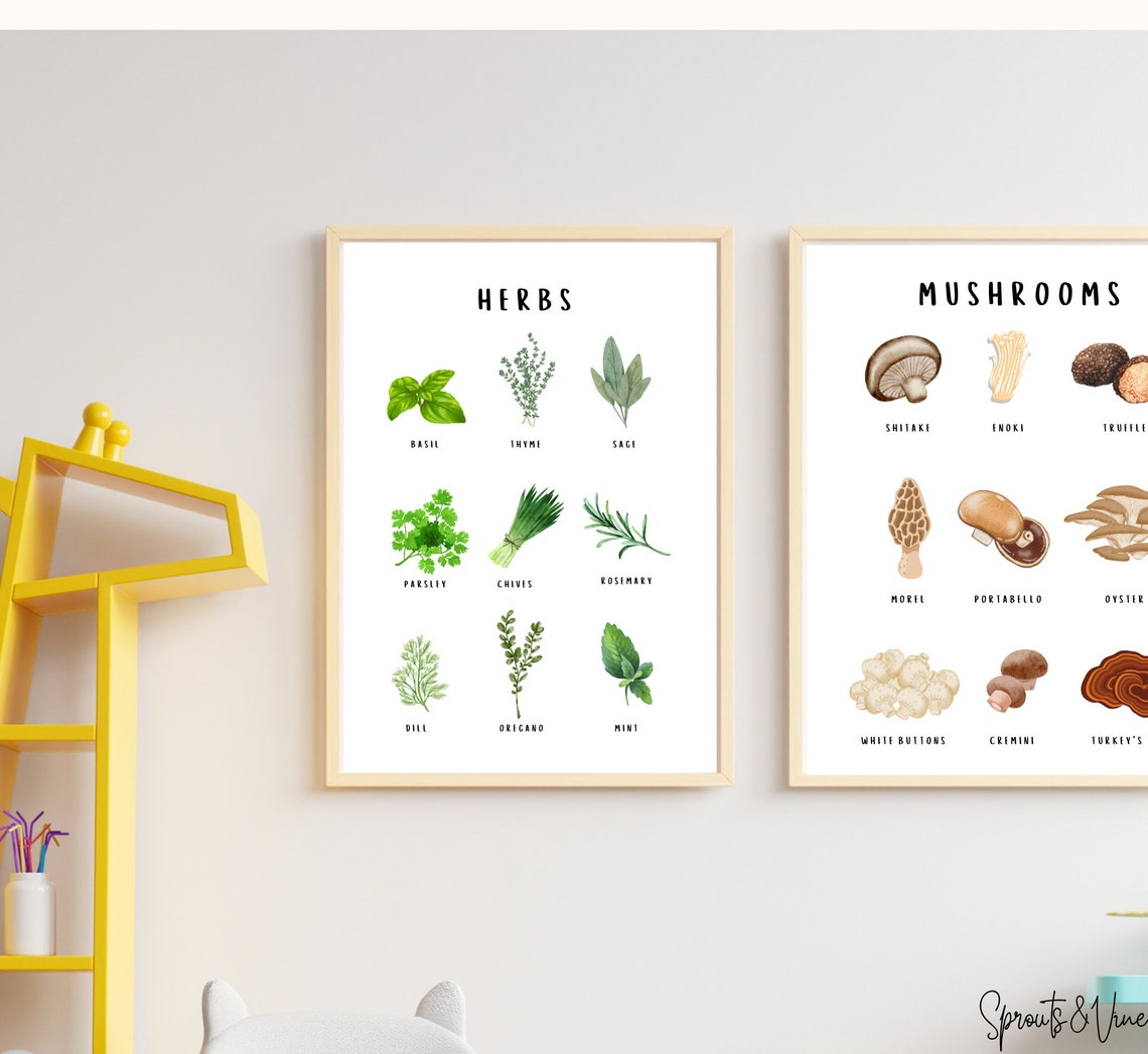 Garden Herb Print, Kitchen Herbs Guide, Cooking Herbs Poster, Botanical ...