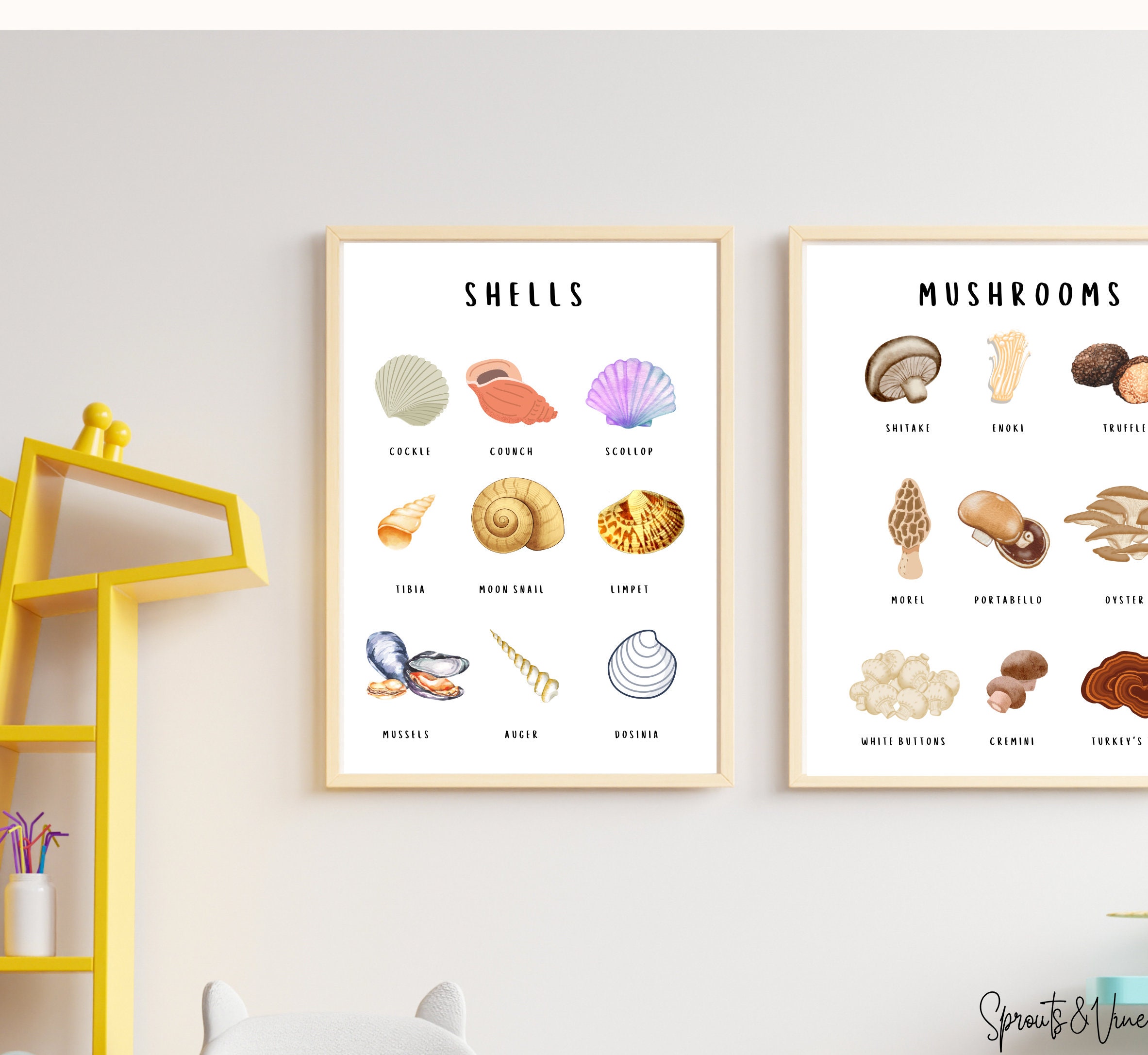 Seashells Montessori Poster, Summer Educational Poster, Beach Printable ...