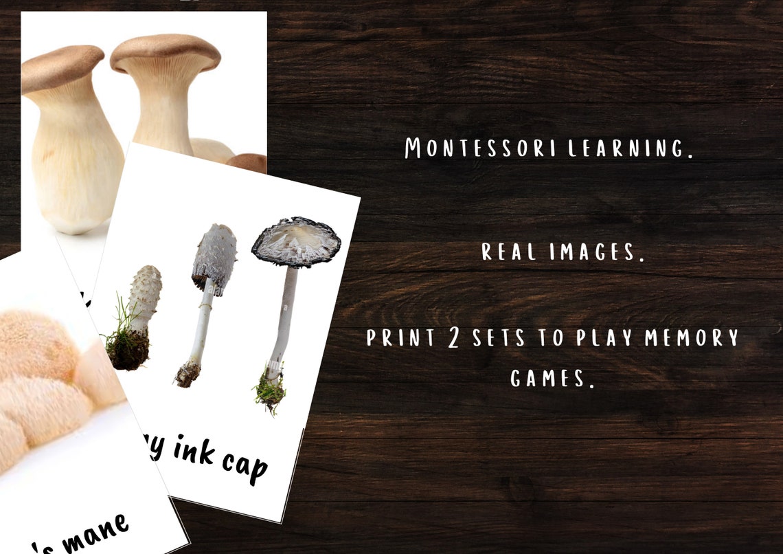 Edible Mushroom Montessori Flashcards Montessori Materials - Etsy