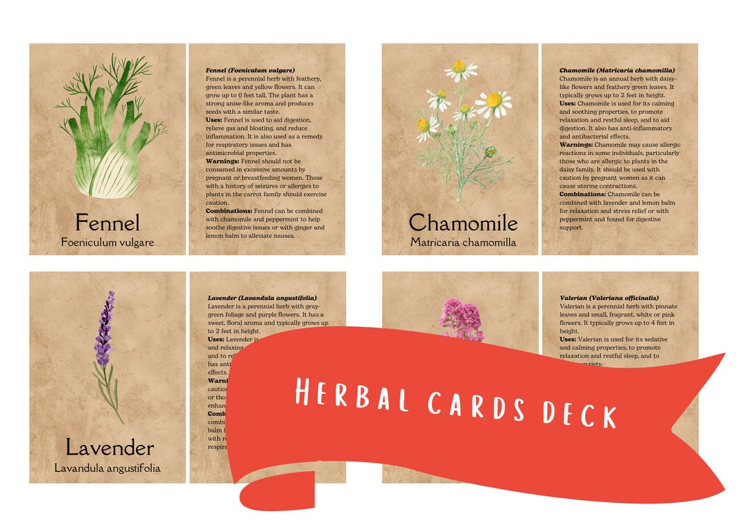 Medicinal Herb Flash Cards, Apothecary Reference (PDF Download) - Etsy