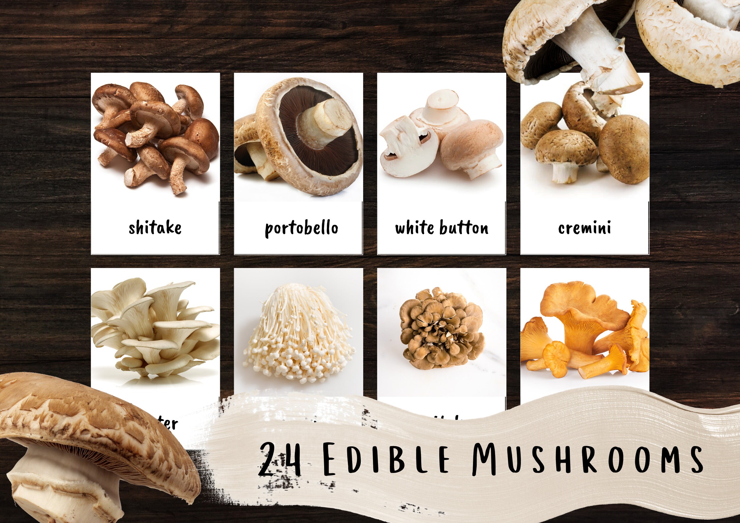Edible Mushroom Montessori Flashcards, Montessori Materials Printable ...