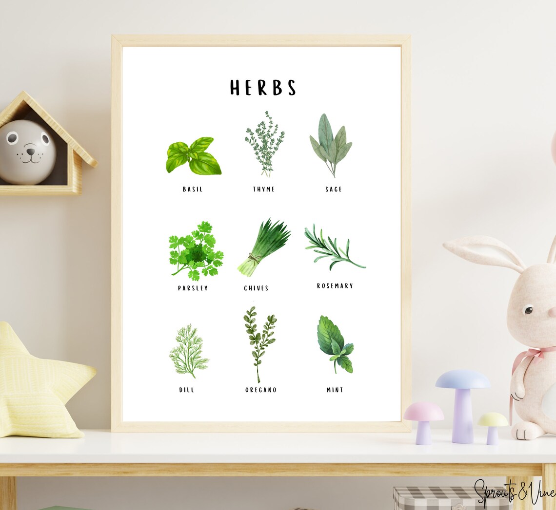 Garden Herb Print, Kitchen Herbs Guide, Cooking Herbs Poster, Botanical ...