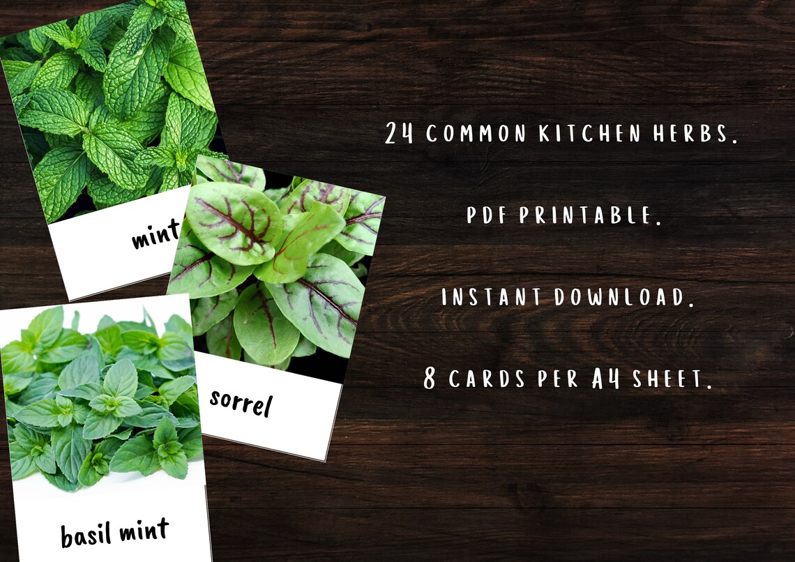 Herbs Flashcards, Printable Montessori Materials, Preschool Toddler ...