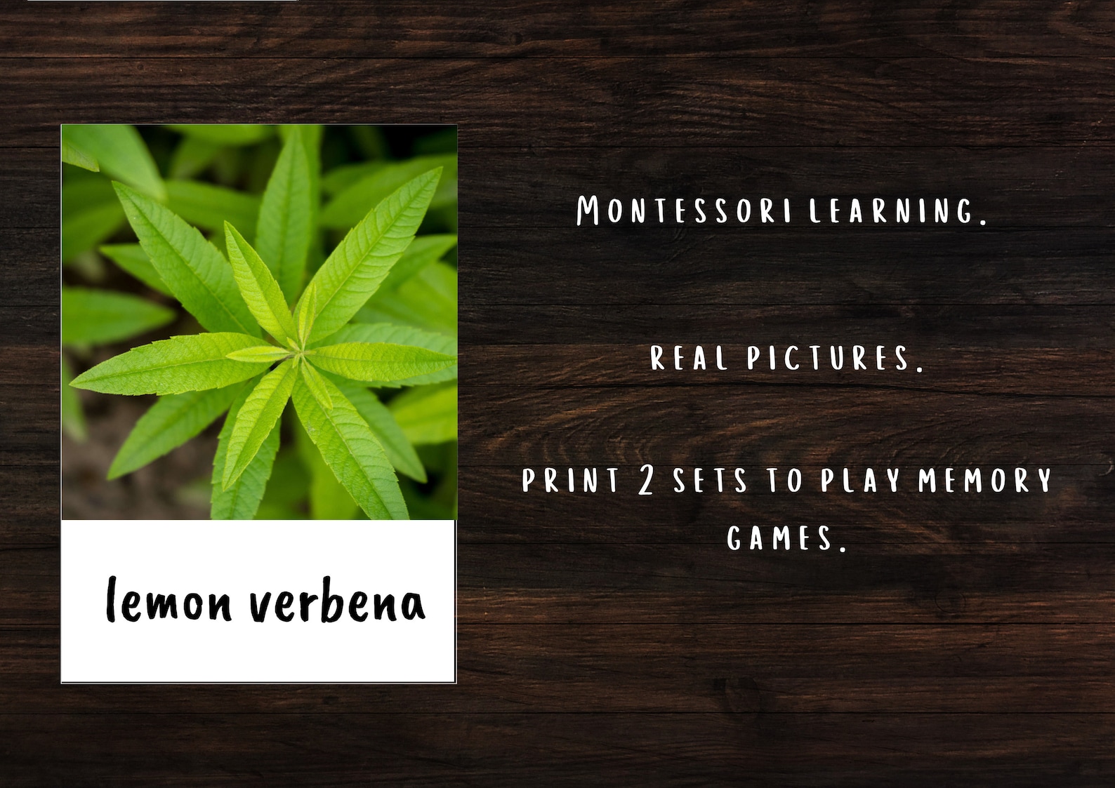 Herbs Flashcards, Printable Montessori Materials, Preschool Toddler ...