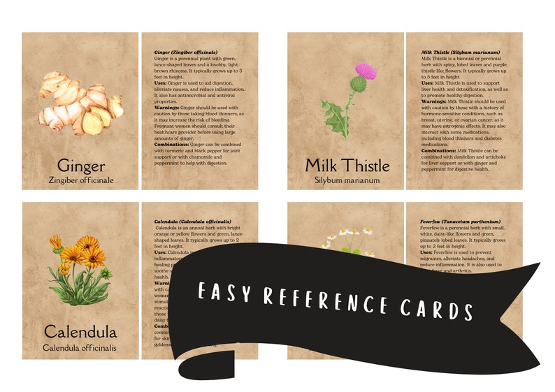 Medicinal Herb Flash Cards, Apothecary Reference (PDF Download) - Etsy