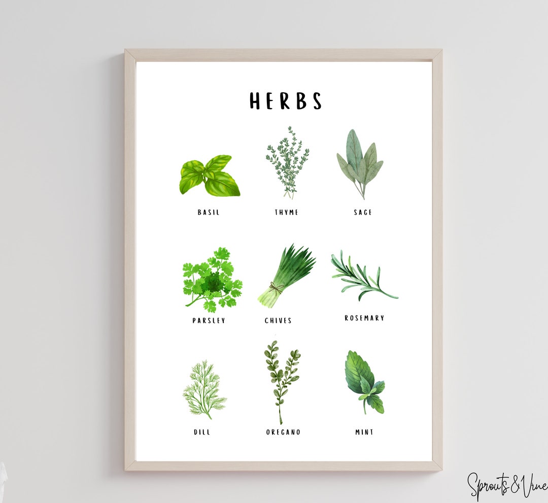 Garden Herb Print, Kitchen Herbs Guide, Cooking Herbs Poster, Botanical ...