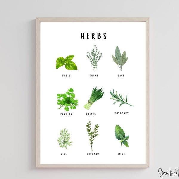 Herb Poster - Etsy