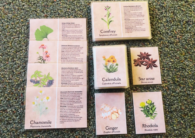 Medicinal Herb Flash Cards, Apothecary Reference (PDF Download) - Etsy