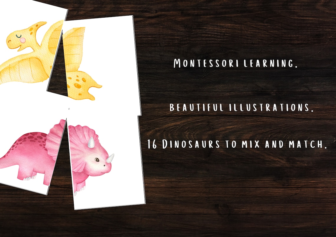 Dinosaur Matching Games Dinosaur Activity for Kids Learn About Dinosaur ...