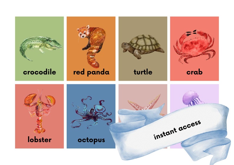 Animal Flashcards 80 Printable Animals Birds Bugs and Sea - Etsy