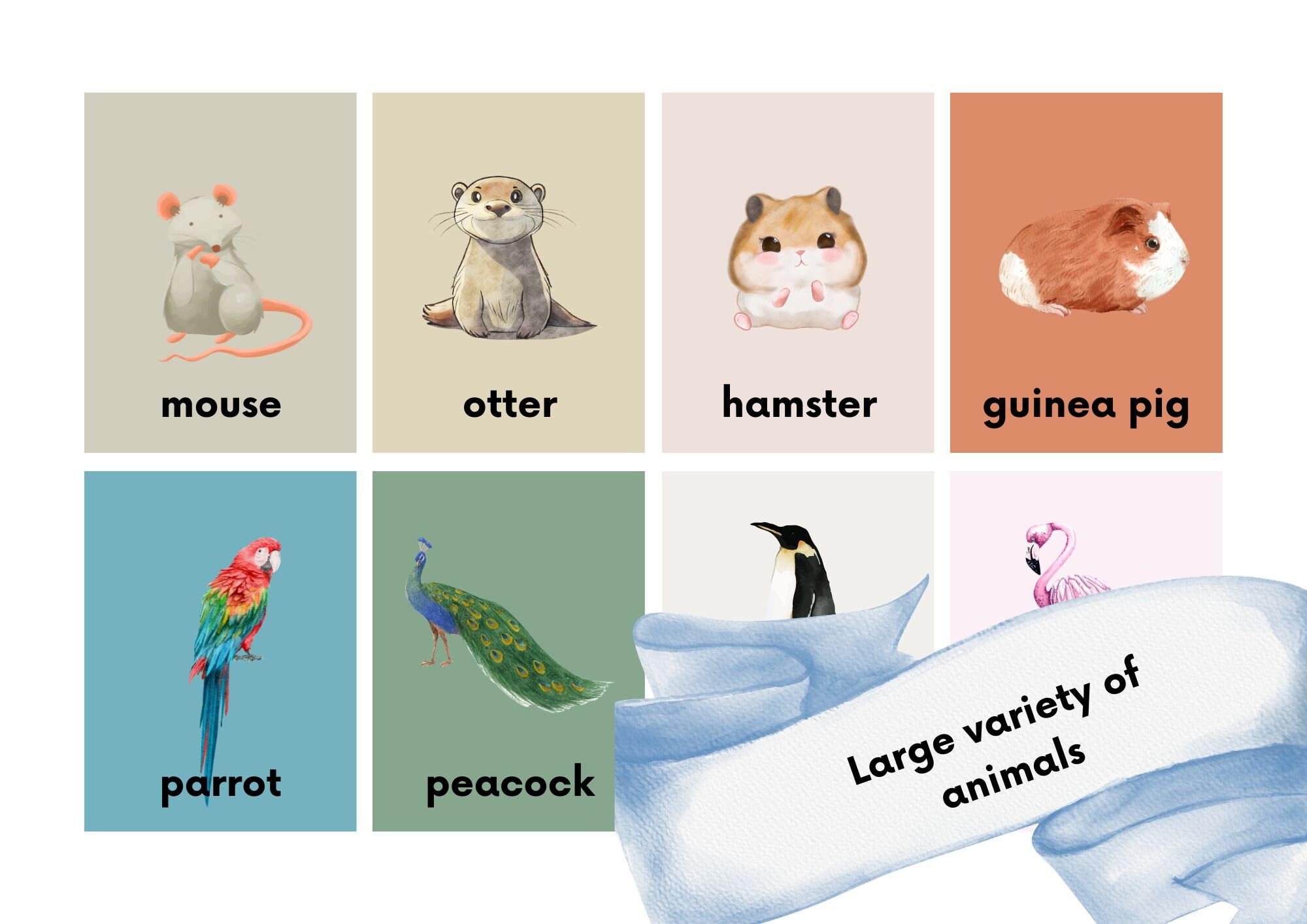 Animal Flashcards 80 Printable Animals, Birds, Bugs and Sea Creatures ...