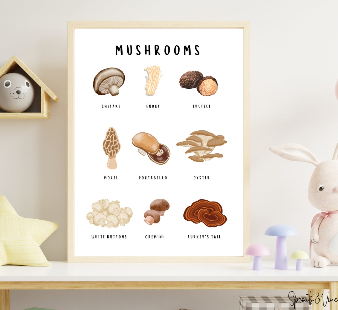 Mushrooms Toadstools Downloadable Prints Watercolor Montessori ...