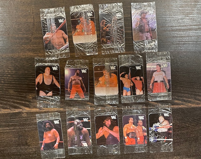 Selection of (14) WWF Hostess Potato Chips Wrestling Mini Collectors ...