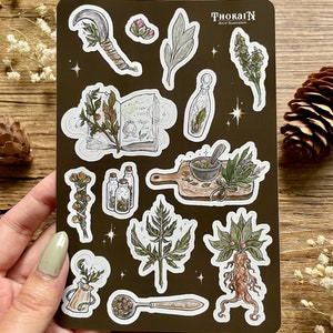 Green Witch Sticker Sheet | Witchy Herbalcore Sticker Set | Witchy ...