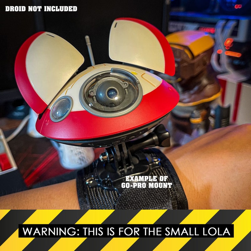 Painted Lola Droid - Etsy