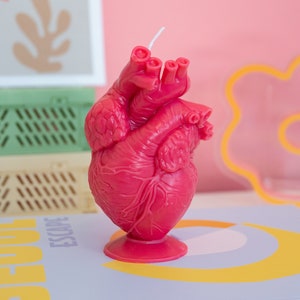 Heart Candle / Real Heart Candle / Human Heart Organ / Life Sized ...