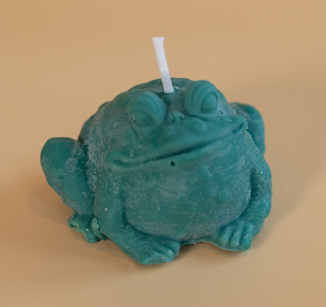 Good Luck Toad Candle / Good Luck Candle / Toad Candle / Cute Candle ...