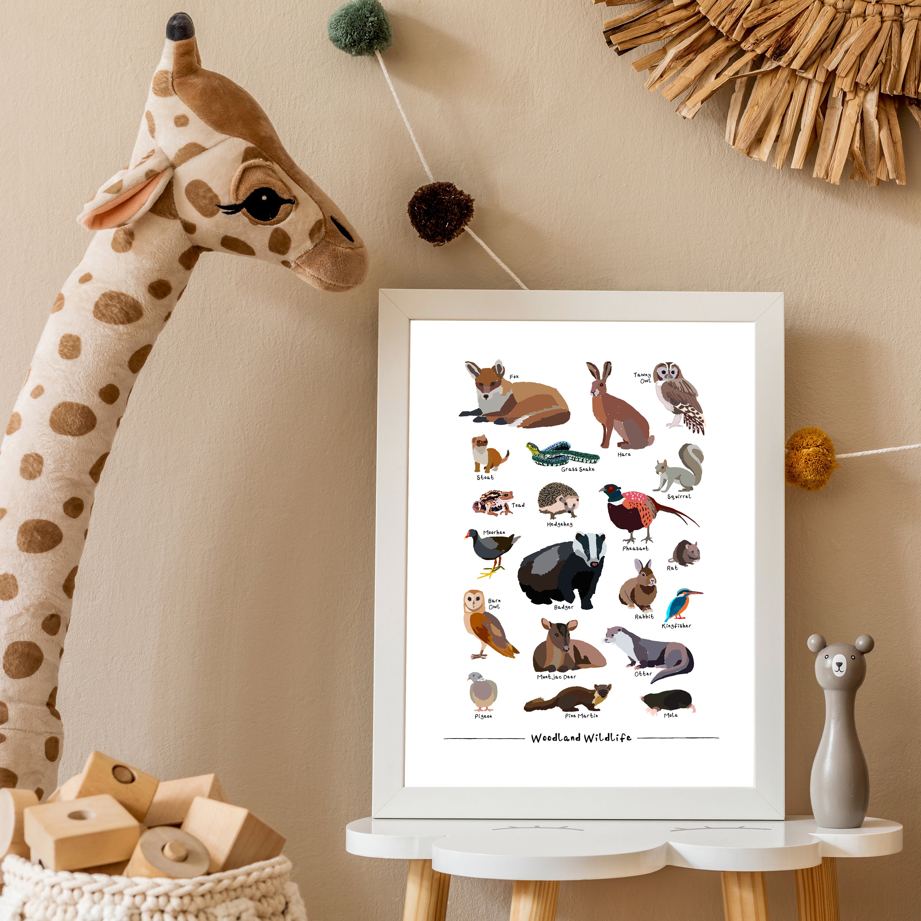 A Guide to Woodland Animals Personalisable Hand Illustrated Art Print ...