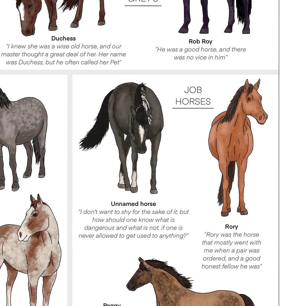 Black Beauty "equine Character Guide" Print | Hand Drawn Horse Artwork ...
